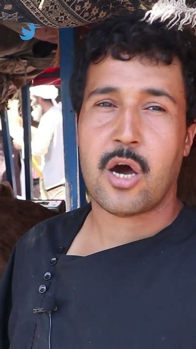 کاهش قیمت یک کیلو انگور به 25 افغانی در ولایت هرات🍇🍎🍏 Youtube