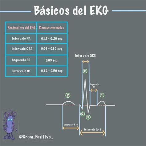 B Sicos Del Ekg Med For Dummies Udocz