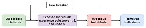 Applications Of The Delay Stochastic Simulation Algorithm Dssa In