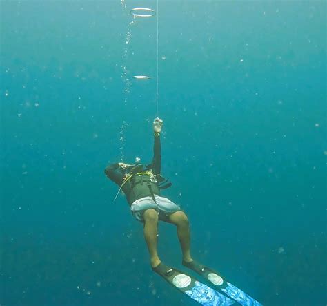 Buoyancy And Diving Ddrc Healthcare