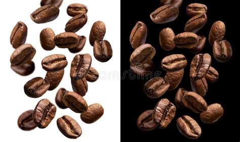 Падая зерна зажаренного в духовке кофе на белой предпосылке Стоковое Изображение изображение