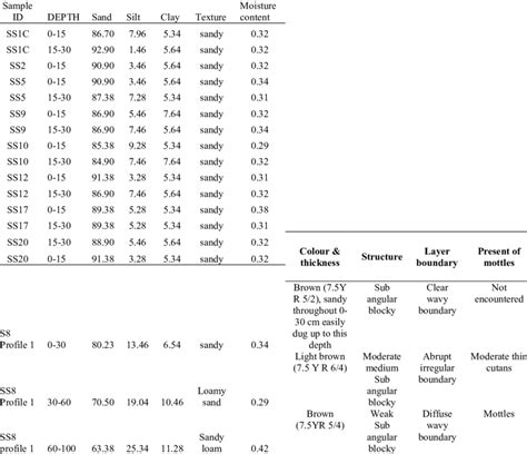 Physical And Morphological Characteristics Of Surface And Subsurface