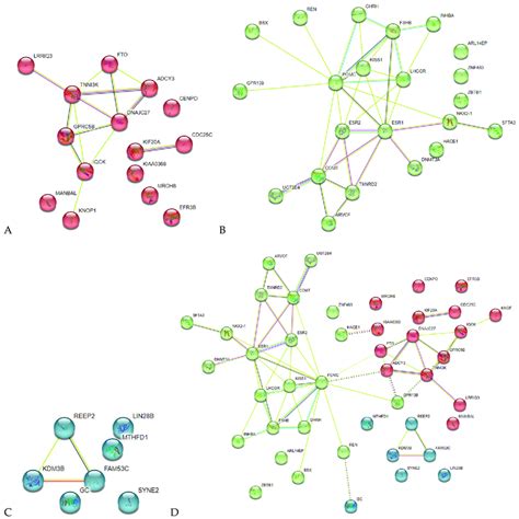 Bw Involved Protein Protein Interaction Clusters Inferred Using The