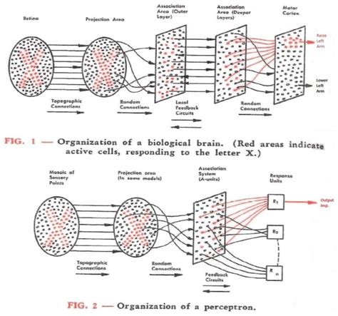 Vijay Kumar Shah On Linkedin Deeplearning Datascience