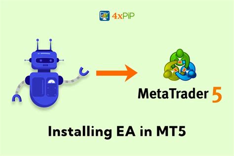 how to install ea in mt5
