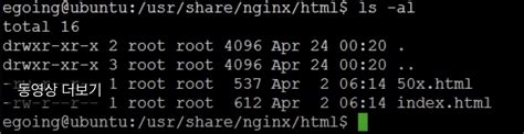 [nginx] 엔진엑스란