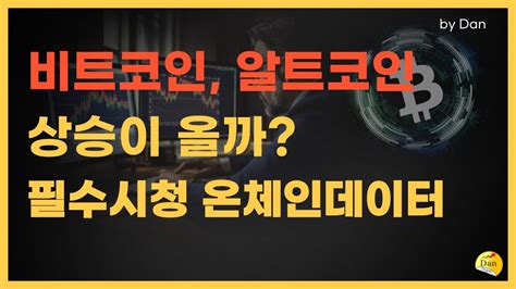 비트코인 알트코인 상승이 올까 필수 시청 온체인데이터 Youtube
