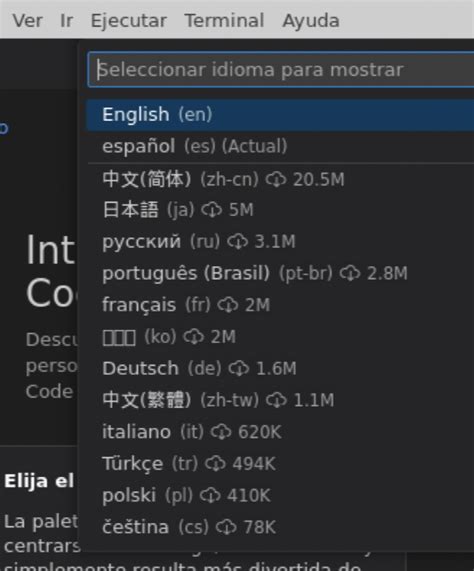 Inconsistent Capitalization Of Language Names · Issue 172245 · Microsoftvscode · Github