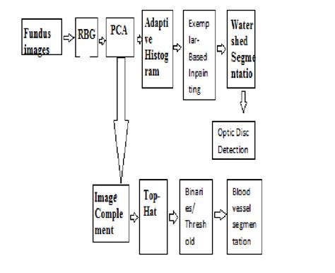 Optic Disc Segmentation Download Scientific Diagram