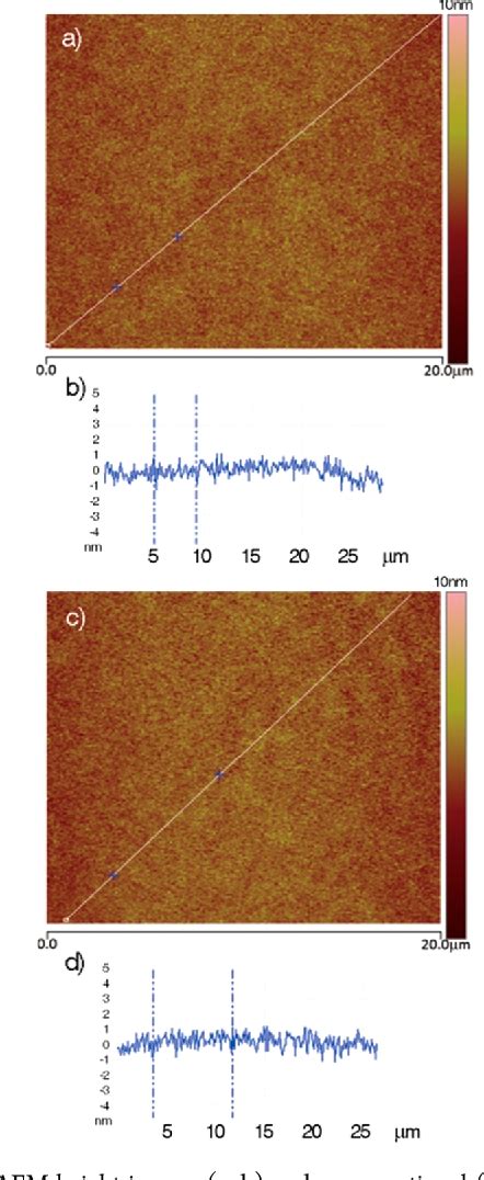 Figure 1 From Plain Silver Surface Plasmon Resonance For Microarray Application Semantic Scholar