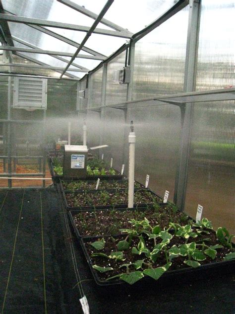 Gardening Tips For Small Spaces Intermittent Mist For Rooting Plants
