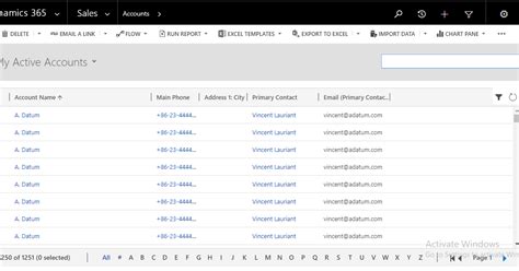 Microsoft Dynamics Crm Bulk Deletion Functionality