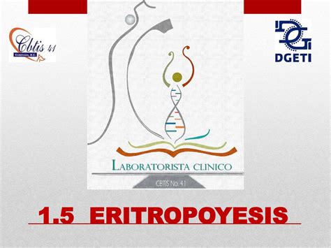 Fases De Maduracion Del Eritrocito