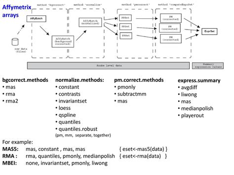 Dna Microarray Analysis February 14 Ppt Download