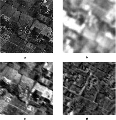 filtered images by using different methods a original image b