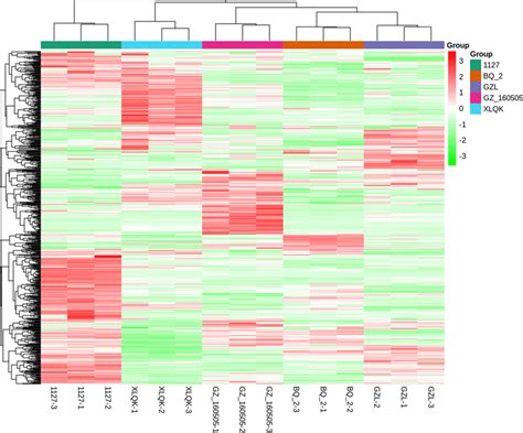 Metabolic Profiles Reflected Using A Clustering Heatmap The Content Of