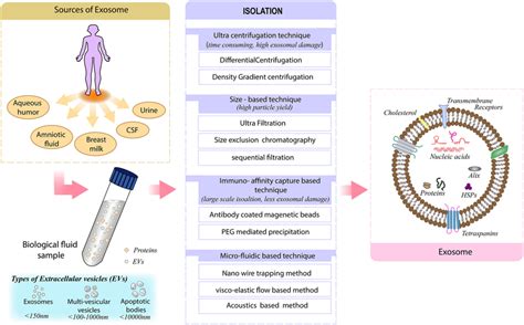 Schematic Representation Of Sources Isolation Methods And Components