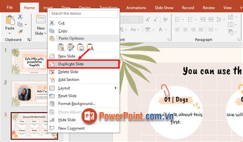 cách copy slide trong powerpoint