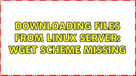 Downloading Files From Linux Server Wget Scheme Missing Youtube