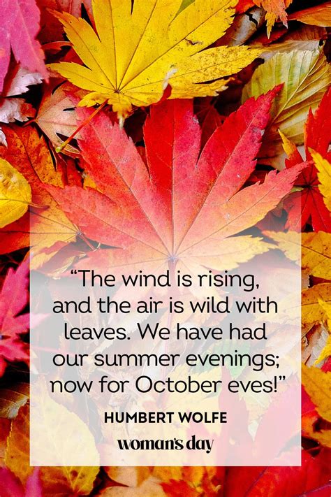 10 Beautiful Fall Quotes Best Sayings About Autumn Quotes About Fall