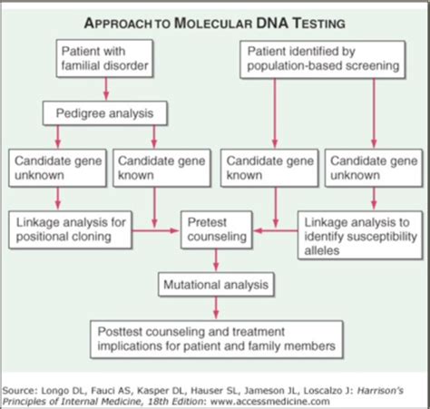 Identifying Disease Genes And Genetic Susceptibility To Complex