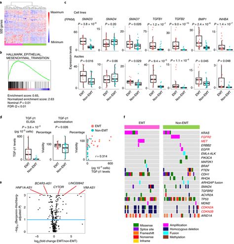 Emt Cluster In Gc With Peritoneal Metastasis A Hierarchical Clustering