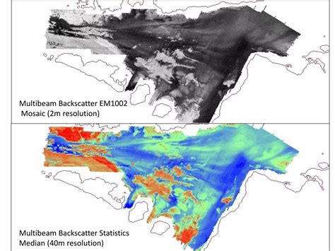 integrating sediment dynamics into habitat mapping approaches using