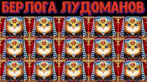 Берлога лудоманов • выигрыши в слотах • топ 5 Больших выигрышей от X1000 Youtube