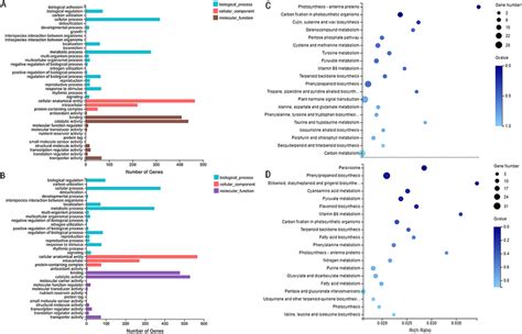 A Go Functional Classification Of Differentially Expressed Genes In