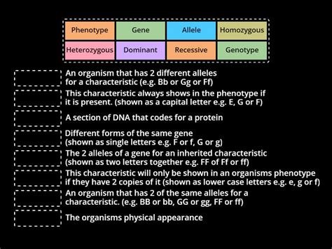 S3 Inheritance Key Terms Match Up