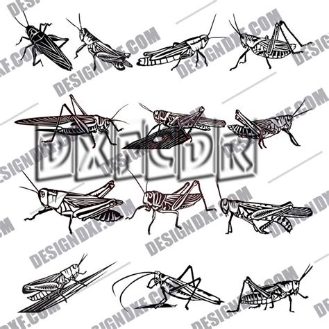 Grasshopper Dxf Files Download Animals And Nature Category