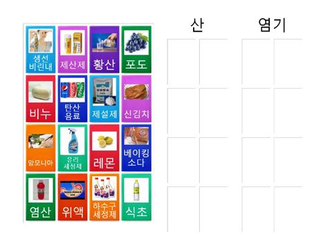 생활 주변의 물질을 산과 염기로 구분하기 Group Sort