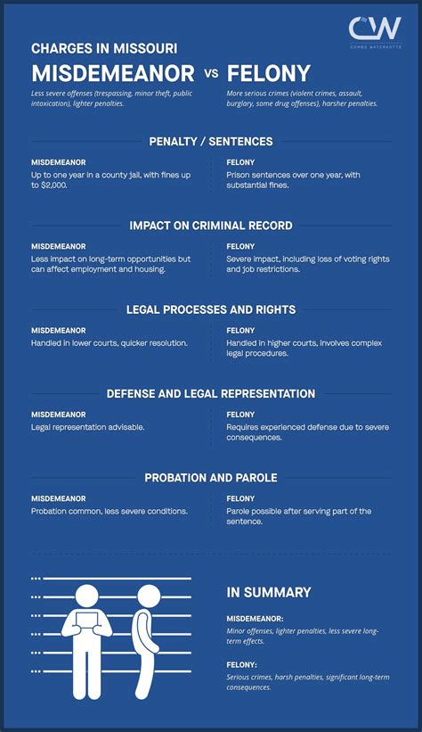 Felony Cases Examples