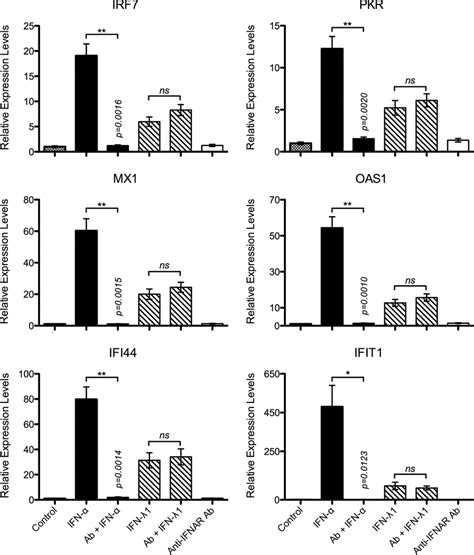 Induction Of Isg Expression By Ifnis Not Mediated Indirectly Via Type I