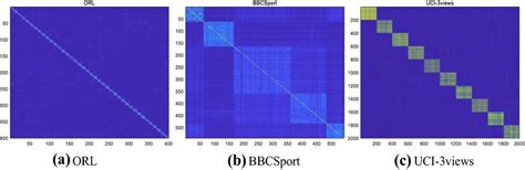 Visualization Of Learned Affinity Matrix On The Datasets A Orl B
