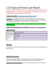 Types Of Forces Lab Report Investigating The Effects Of Surface Course Hero