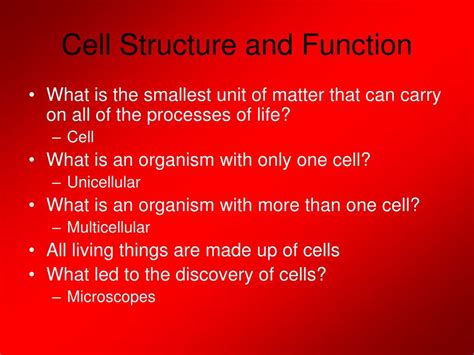 Difference Between Cell Structure And Function At Michael Dittmer Blog