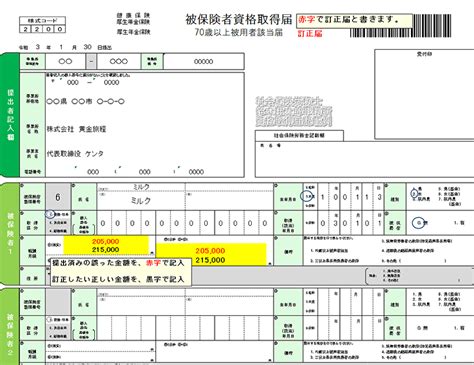 【記載例有り】社会保険の資格取得届の記入ミス！訂正届の書き方 社労士黄金旅程