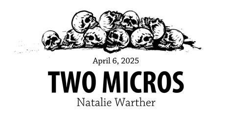 HAD Two Micros By Natalie Warther