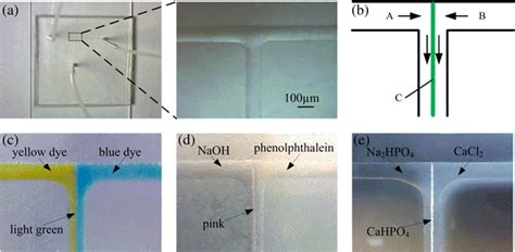 A Micrograph Of The Microfluidic Chip Fabricated Based On A T Shaped