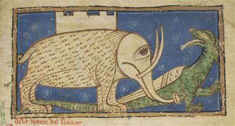 14 Creepy Medieval Beasts That Look Nothing Like Real Animals