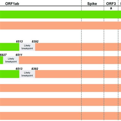 Schematic Representation Of Recombination Points Schematic Of The