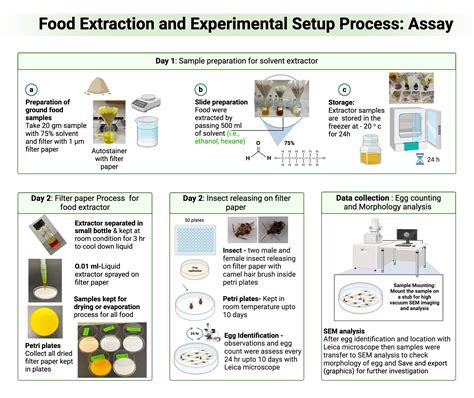 Food Extraction Process And Insect Egg Identification Biorender