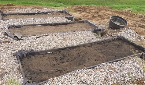 Integrating Biochar Into A Manure System Journal Of Nutrient Management