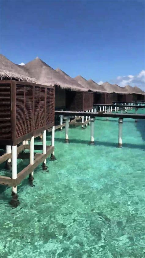 Our Honeymoon Sextape In Paradise Part Sex Vacations