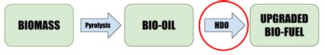 Biomass Hydrodeoxygenation
