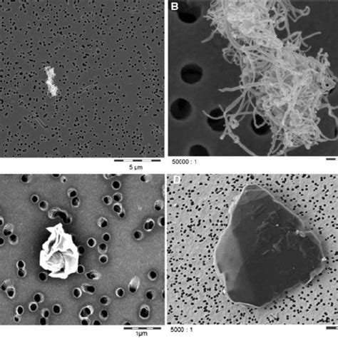 1 Examples For 0d 1d 2d And 3d Carbon Nanostructures Download Scientific Diagram
