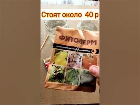 профилактика и борьба с вредителями - YouTube