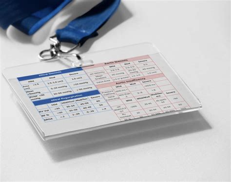 Echo Badge Guide Quick Reference And Cheat Sheet Guidelines Desertcart Japan