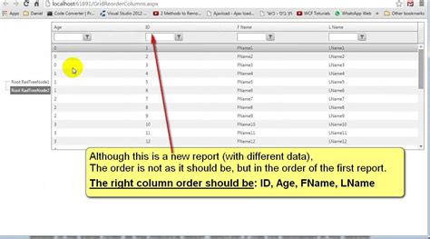 RadGrid Reorder DataBind Problem Edit YouTube